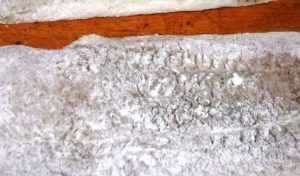 Fish in Potato Scales