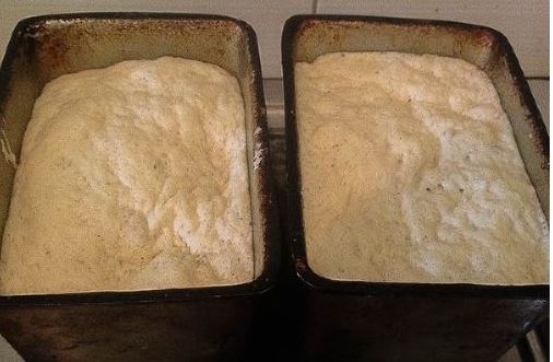 Homemade Bread with Dry Yeast