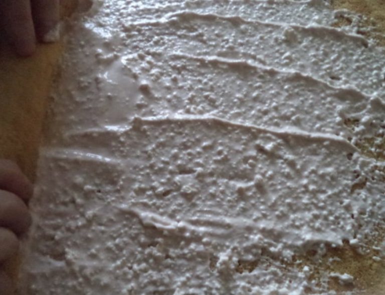 Sponge Roll “Simple”