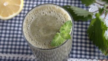 Fruit Smoothie with Nettle