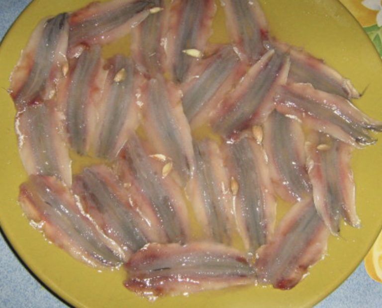 Pickled Sprat