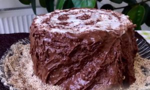 Cake “Rotten Stump”