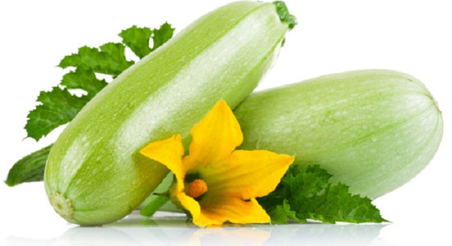 15 Interesting Facts About Zucchini