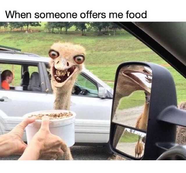 16 Food Memes That Will Keep You Laughing For Hours