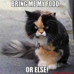 16 Food Memes That Will Keep You Laughing For Hours