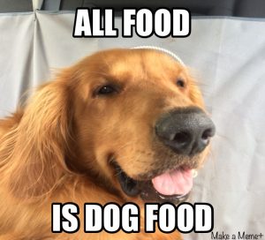16 Best Food Memes