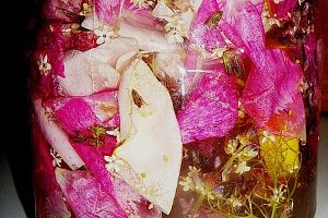 Rose Syrup with Seasonal Flowers